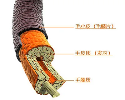 点击查看源网页-花瓣网