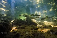 IES灯 (6).tif-花瓣网