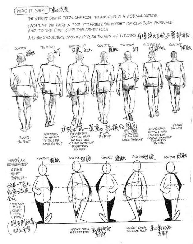 重心改变运动分解图