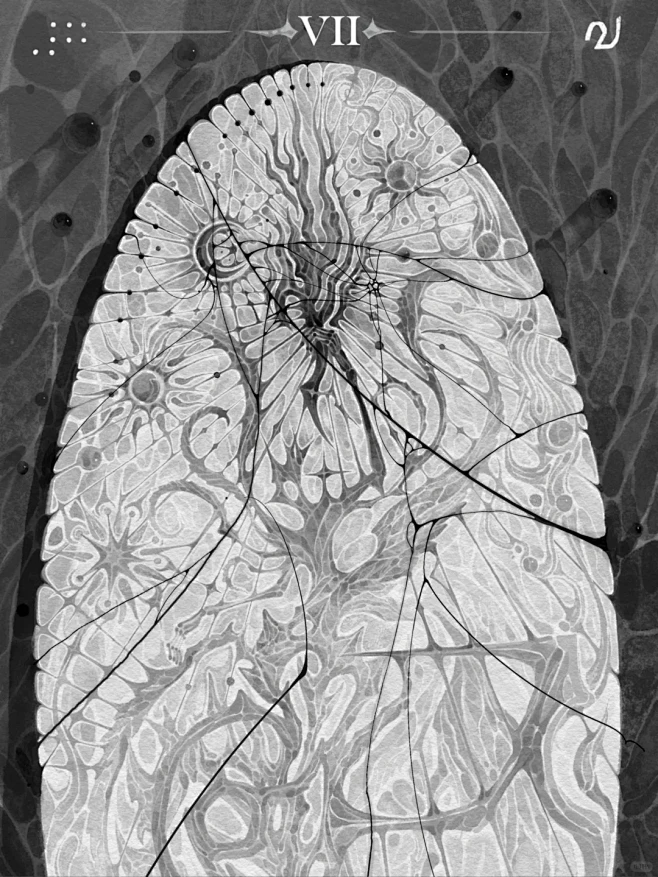 灰塔罗｜序列：7战车 Grey Tarot 7: Chariot - 小红书-花瓣网