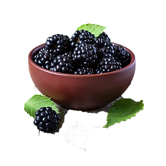 免抠树莓贴图-花瓣网