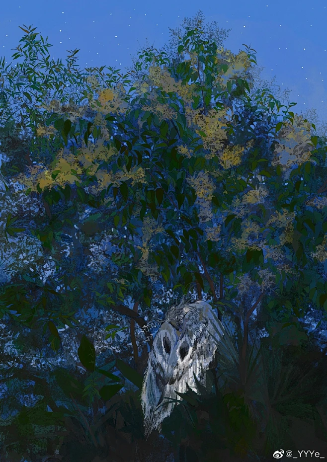 隙间故土 来自_YYYe_ - 微博-花瓣网