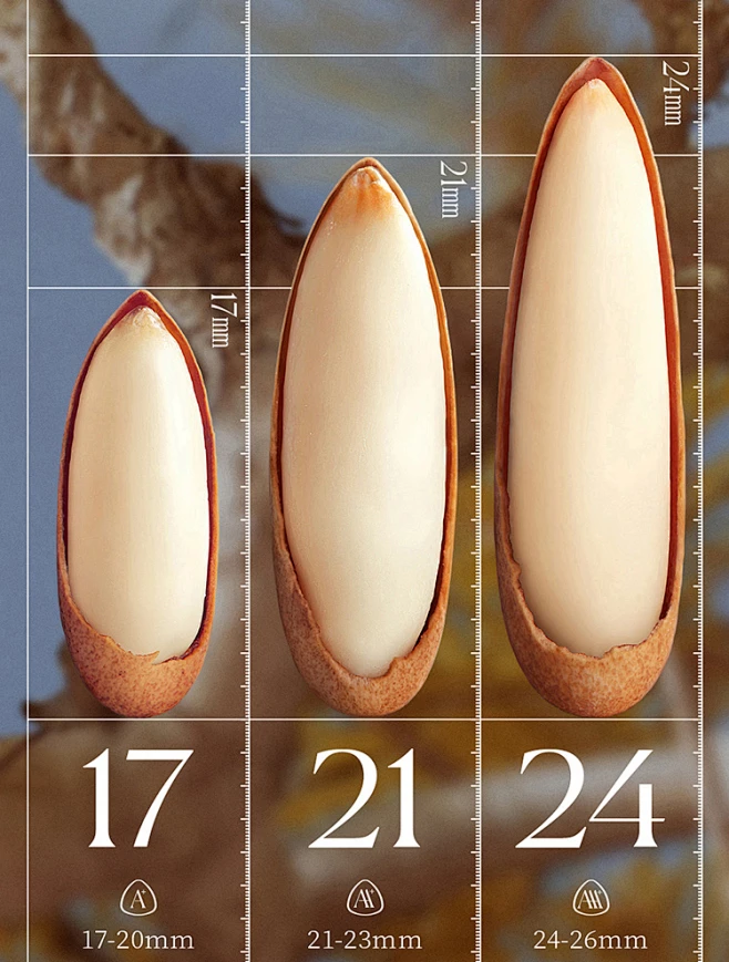 晚松】觅菓A+阿富汗手剥松子238g大松子孕妇零食巴西2024新货-tmall.com天猫-花瓣网