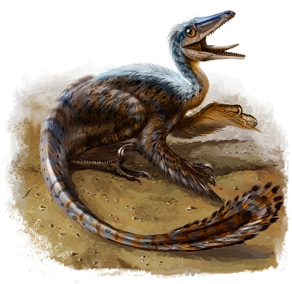 Mei long(4DE48)-花瓣网