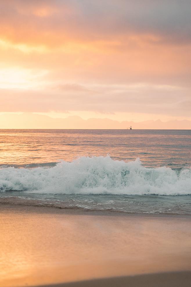 pexels-taryn-elliott-9716816