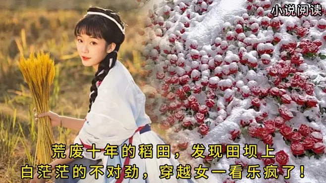 女-古言-大图-无-26LSQ-1206 (5)-花瓣网