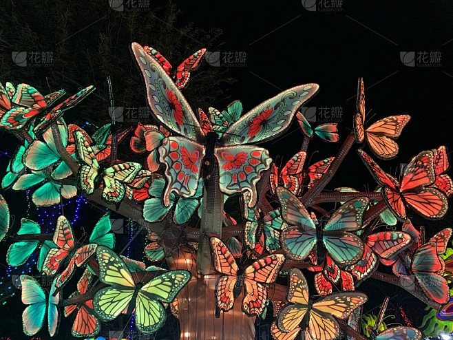 gd-hbimg素材-花瓣网