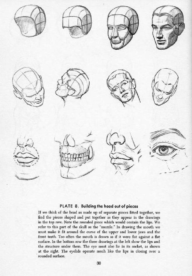 Andrew Loomis - Drawing the Head and Hands0026