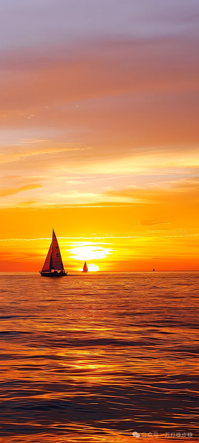 壁纸240122-花瓣网