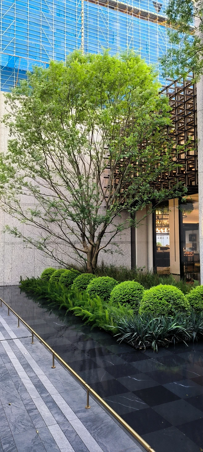 IMG_20240515_175400-花瓣网