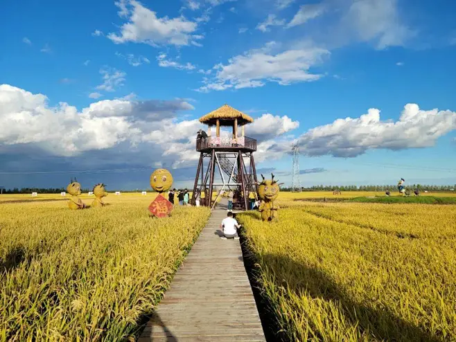 稻田观光的搜索结果_360图片-花瓣网