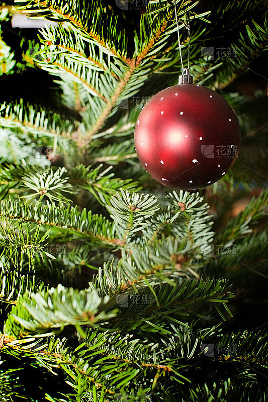 有红色小装饰品的圣诞树