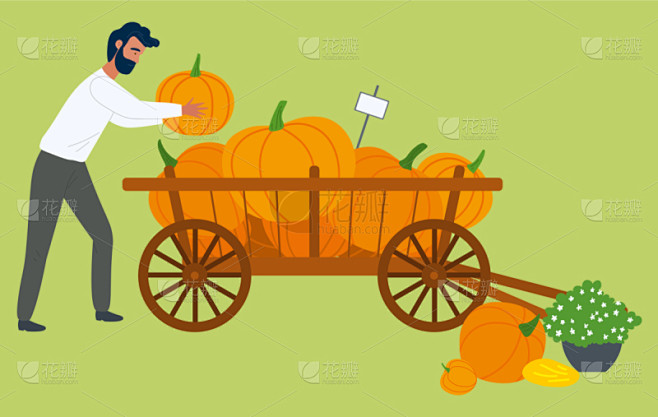 man and pumpkins in wheelbarrow autumn harvest