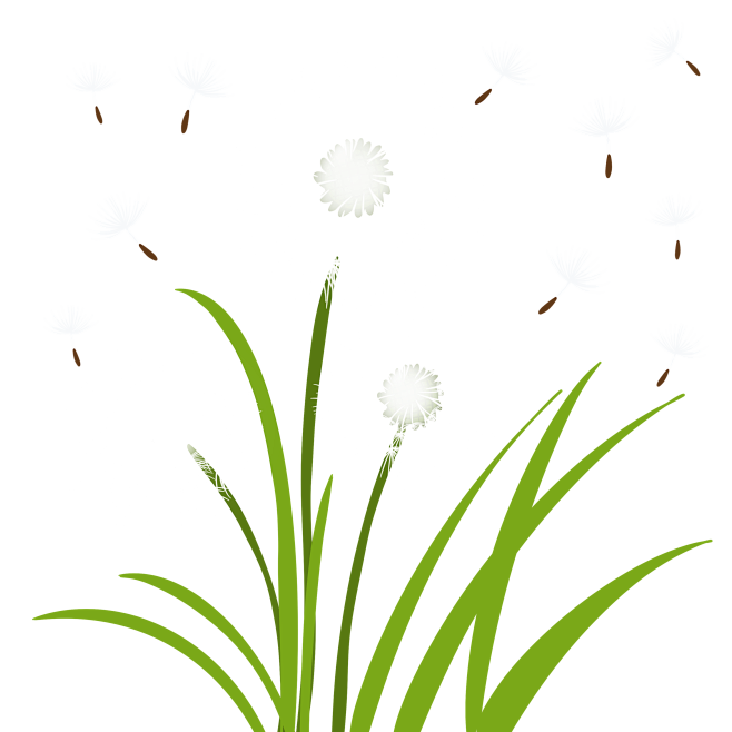 千库网_蒲公英花开_元素编号13026889