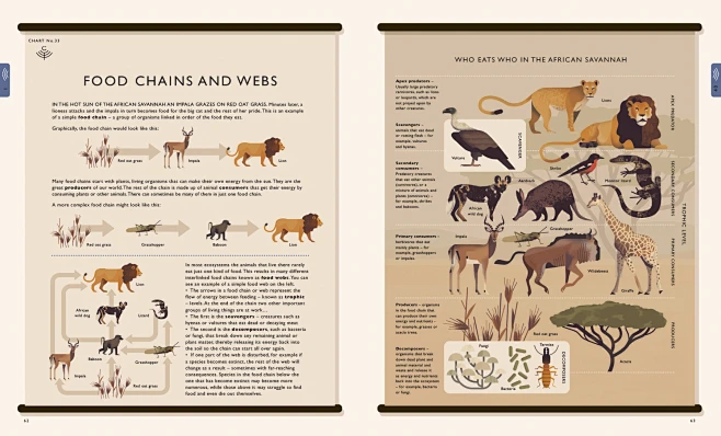 Curiositree: Natural World - Owen Davey Illustration-花瓣网