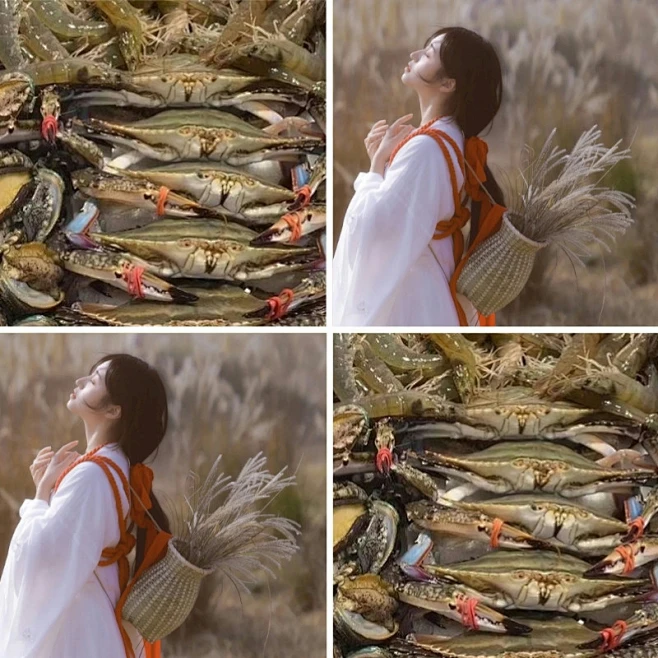 广告素材搜索 - AppGrowing - 有米云-花瓣网