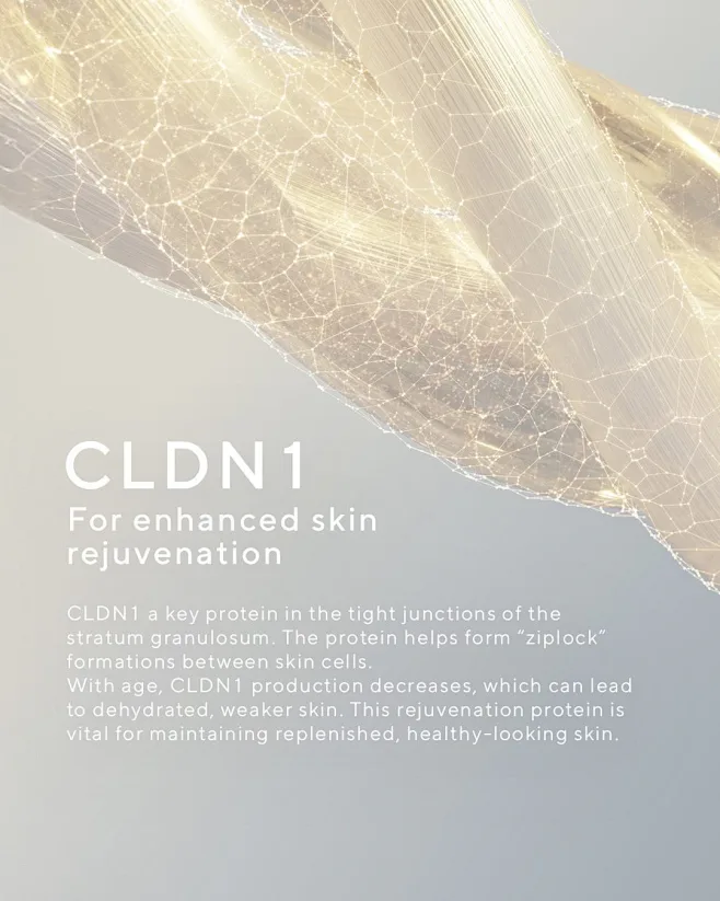 Photo by @darphin on January 25, 2025. 可能是包含下列内容的图形：杂志、海报和上面的文字是“CLDN1 ...