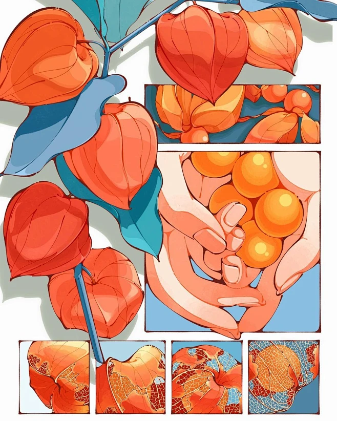 微博搜索-花瓣网