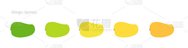 Mango ripeness stages chart. Colour gradation set