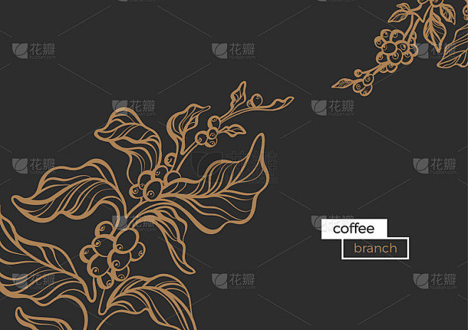 咖啡树树枝模板。矢量图