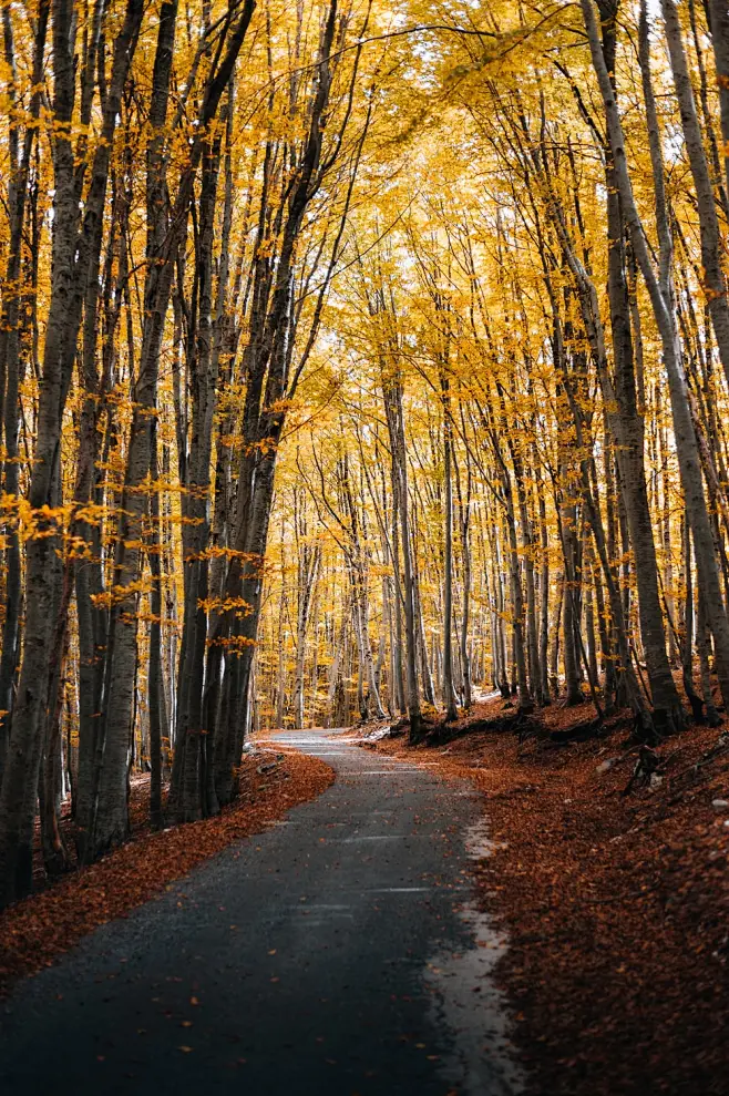 Beautiful Free Images & Pictures | Unsplash : Beautiful, free images ...