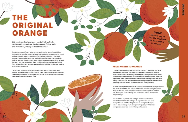 Can You Get Rainbows in Space?: A Colourful Compendium of Space and ...