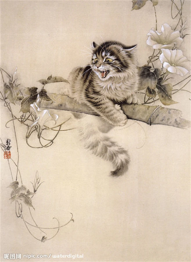 [转载]【国画】徐新奇工笔画作品《猫》图片_国画飞禽走兽图片素材-花瓣网