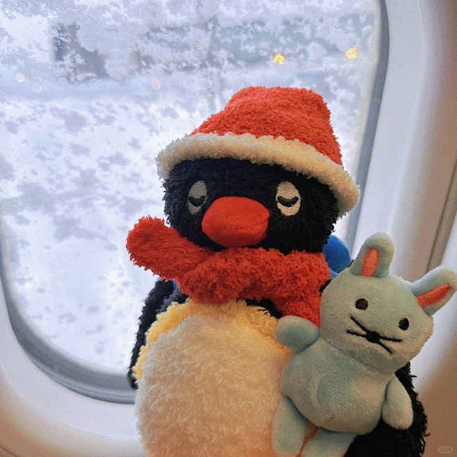 Pingu头像分享 冬日版