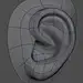 ear topology: -花瓣网