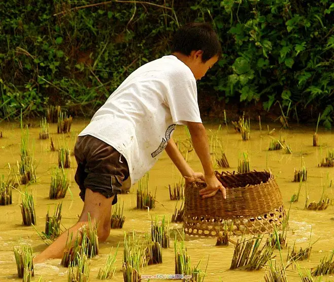 点击查看源网页-花瓣网