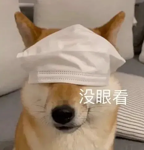 狗狗表情包 没眼看