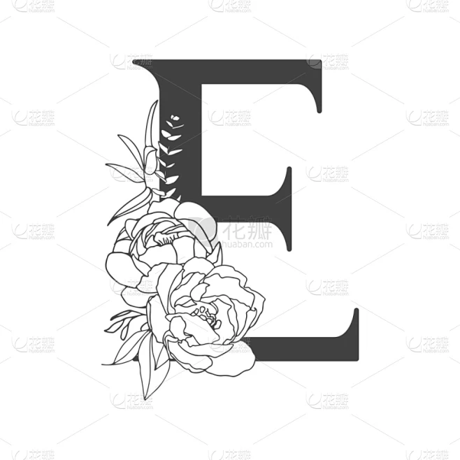 字母,高雅,矢量,花,脆弱,结婚请柬,花卉商,巨大的,花,装饰素材-花瓣网