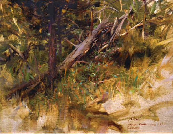 Richard Schmid (5)
