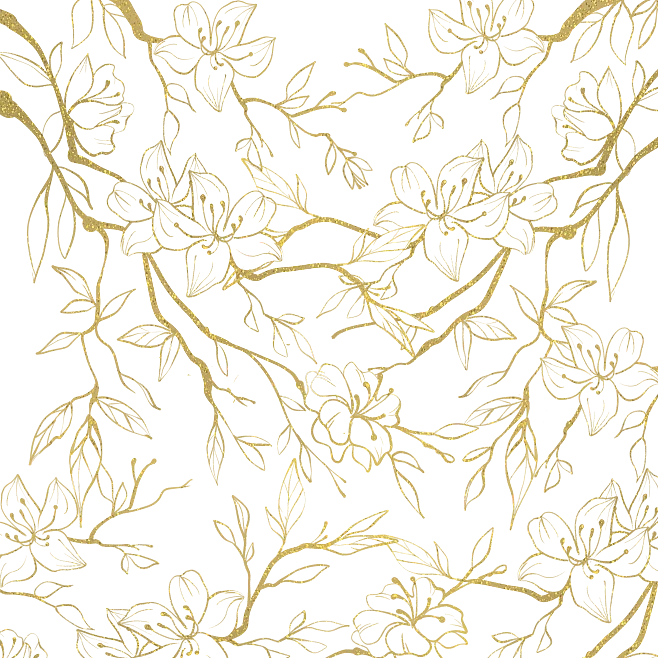 51d3aa6fb3bf73489ee190fc216514bc2392a5944a632d-PgWdDk_fw658webp-花瓣网