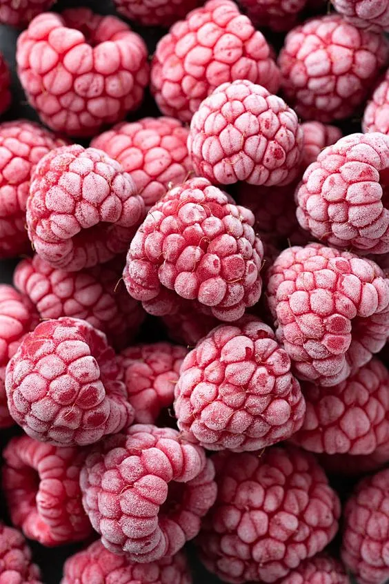 Close up of frozen raspberries, photograph by Lauren Caris Short of ...