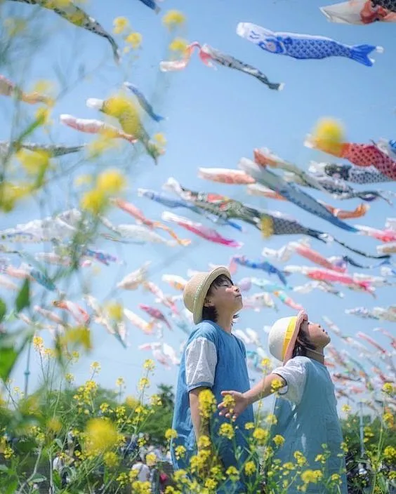 (102) Pinterest-花瓣网