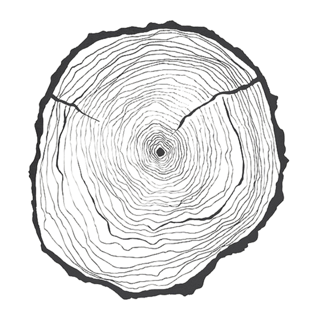 40b2281cb23eff40b65417ab0b07a4c6