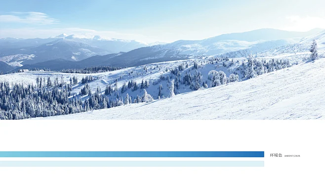 BEHANCE (7)-花瓣网