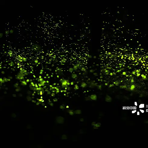 VCG视觉中国的花瓣个人主页-花瓣网