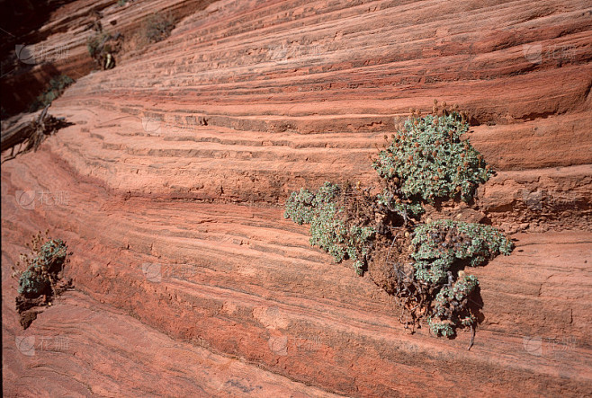 Slick Rock - 15