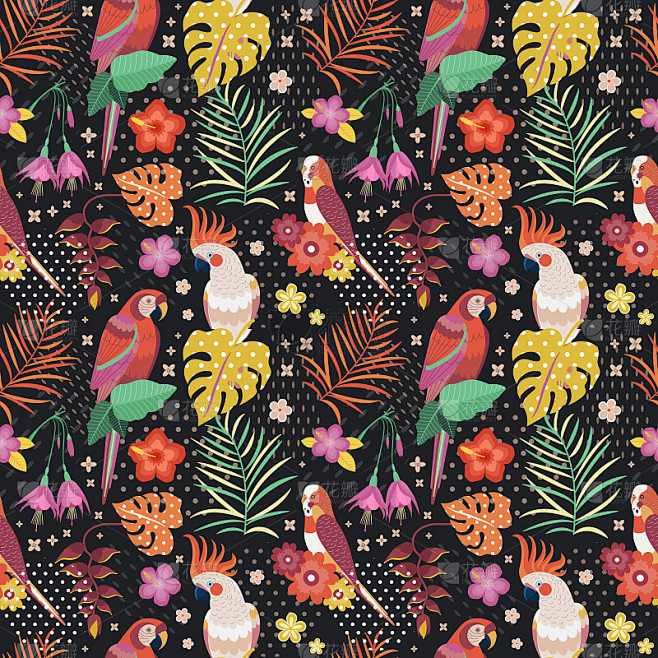 夏威夷鹦鹉图案或阿罗哈印花