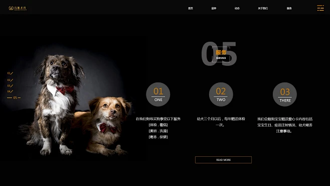 一屏式-网站搭建_毛留_【68Design】-花瓣网