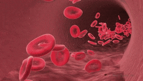 Coronary Heart Disease Animation GIF-花瓣网