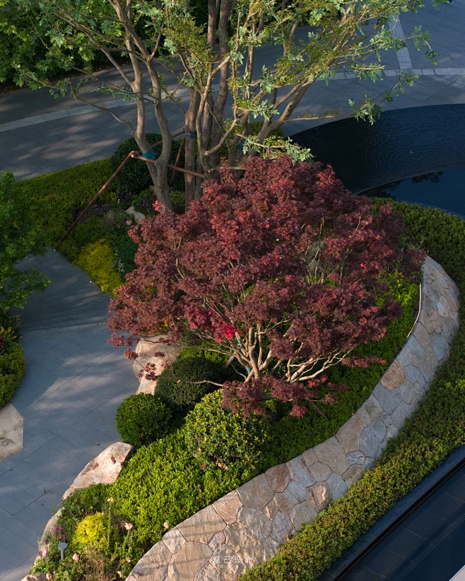 640 (1080×1350)-花瓣网