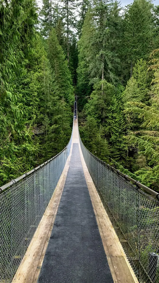 Beautiful Free Images & Pictures | Unsplash : Beautiful, free images ...