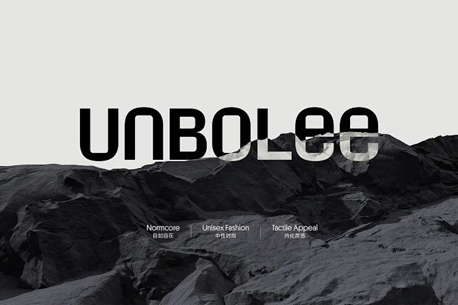 brand brand identity Logo Design logos Logotype typography visual ...