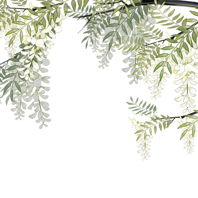 3k粉粉福【一个服设和两个花（槐花和山茶）的… - 半次元 - ACG爱好者社区