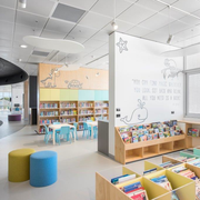 Aldinga Library - Brown Falconer