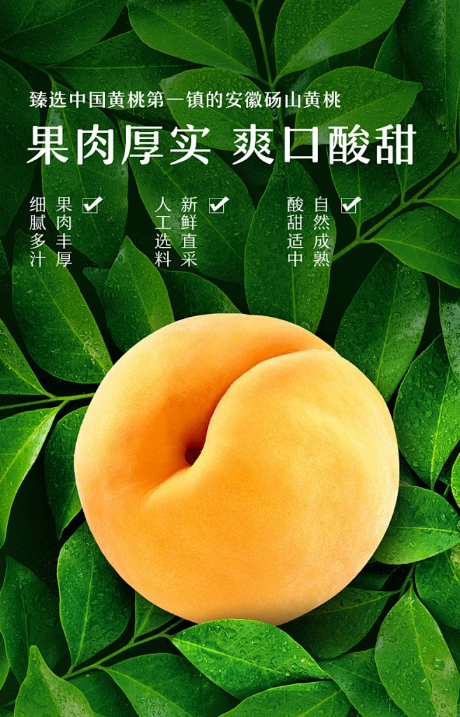 新品来伊份黄桃罐头312g 水果罐头糖水果捞办公室休闲零食-tmall.com天猫-花瓣网