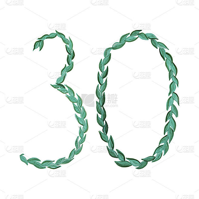 水彩手绘数字30绿色叶子孤立在白色的背景。花卉的风格。插图